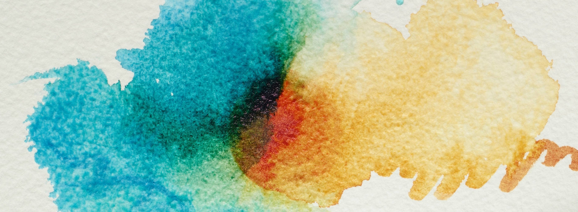 Feutres Promarker Aquarelle – Page – Winsor & Newton FR